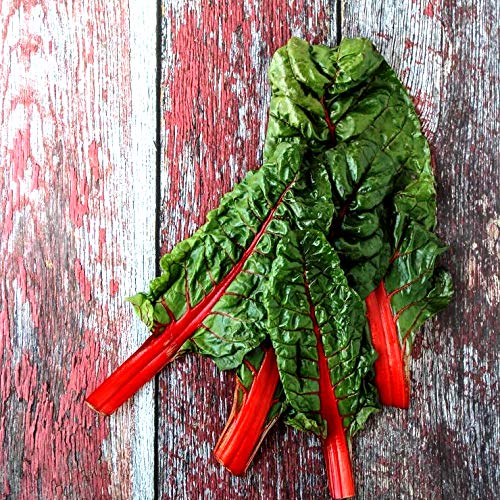 Swiss Chard Seeds - Ruby Red Rhubarb - Beta vulgaris – Gaea's Blessing ...